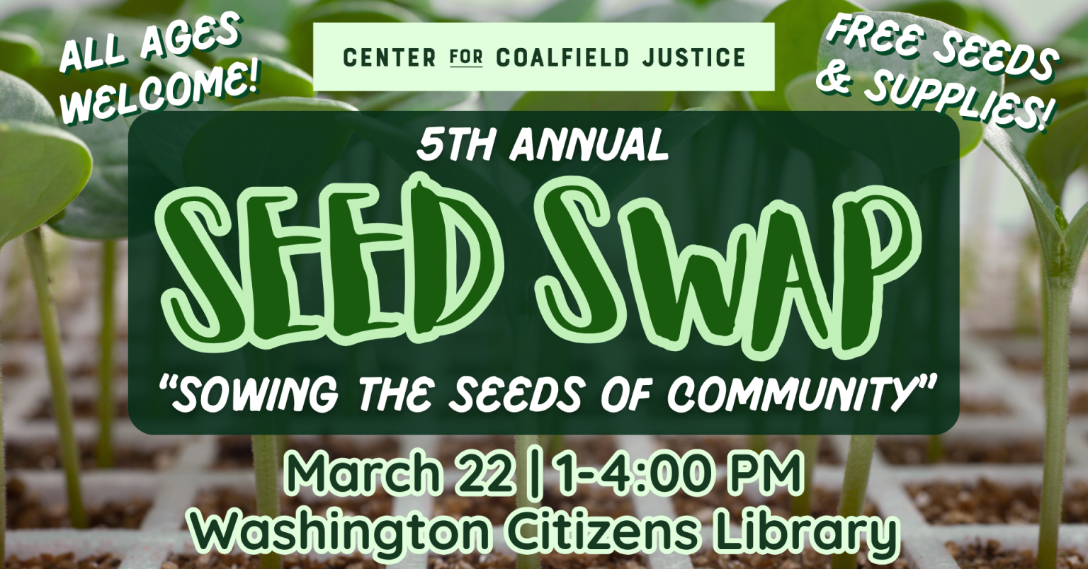 Cultivating Community: Why We Host an Annual Seed Swap - Center for ...